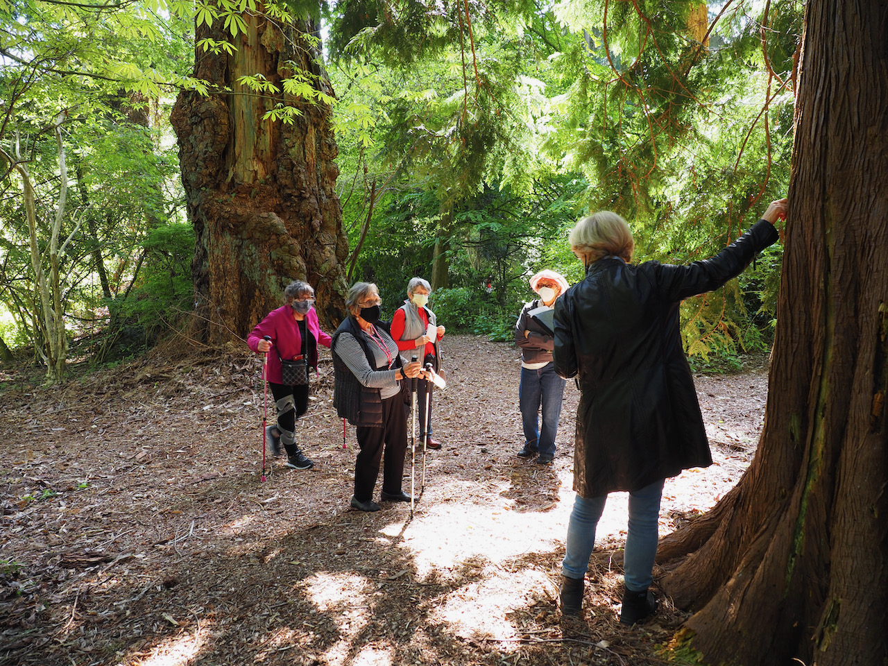 Drop-in Tours - UBC Botanical Garden